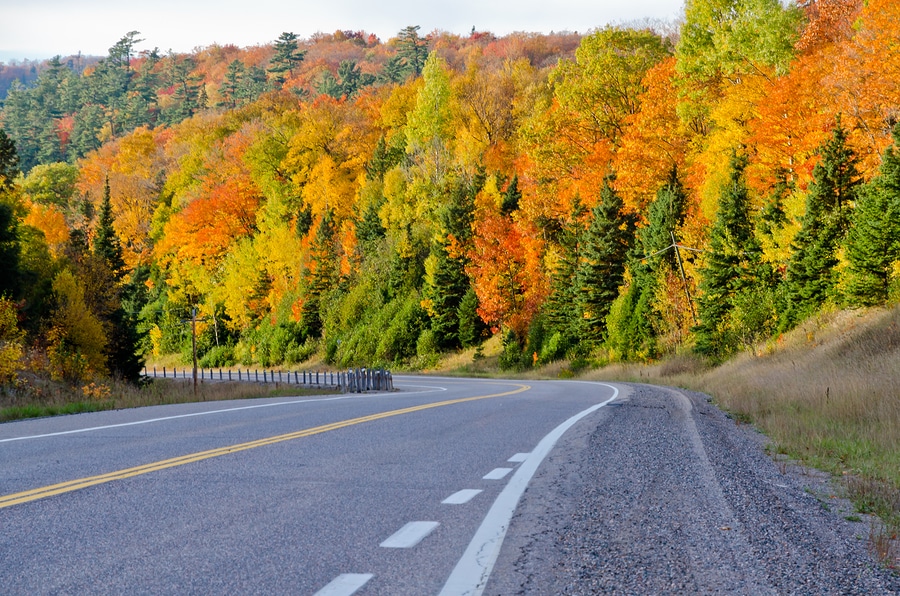 Discover the Beautiful Fall Foliage Adventures in Duluth